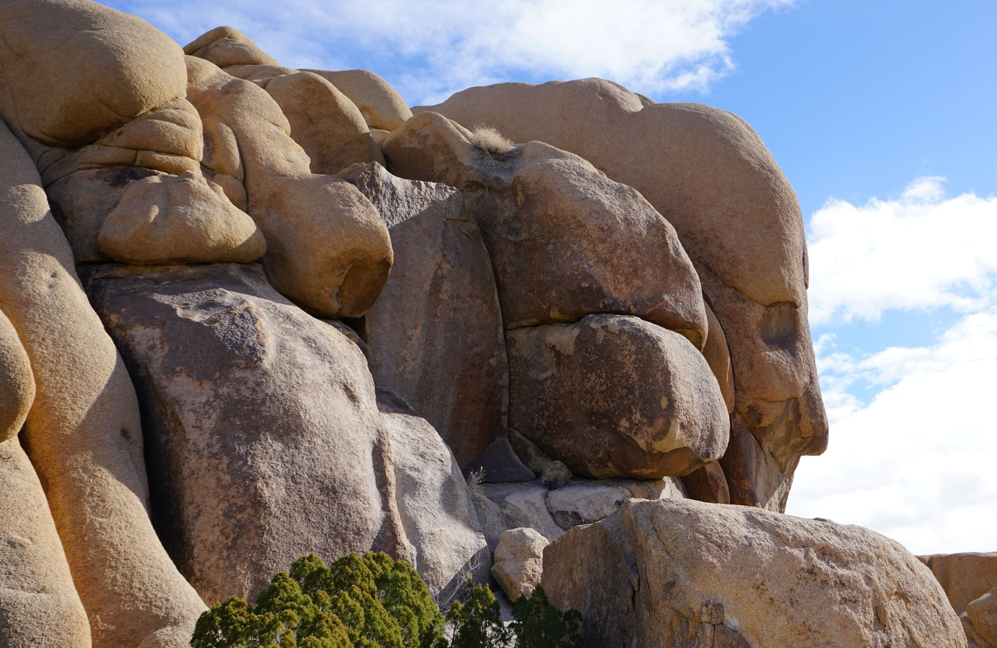 Top 8 Famous Rocks: Joshua Tree National Park – Pudgy Buffalo